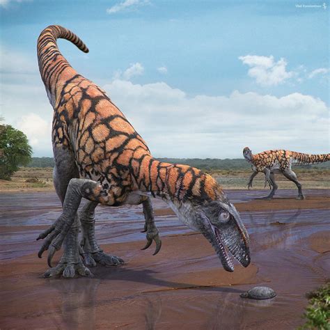 Recently Discovered Fossils Of Megaraptora Specifically Rapator