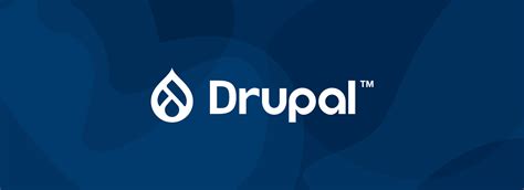 Drupal Agency Partner Why Drupal Matters Wdb Agency Blog