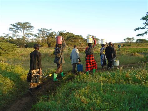 Capturing A Comeback The Role Of Camera Traps In Biodiversity Recovery Weforest