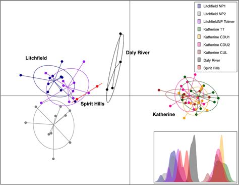 Dapc Graph Of Cycas Calcicola Populations Discriminant Analysis Of