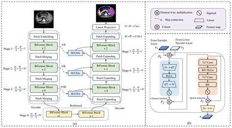 U Net最新变体 性能连超unet Unet V2，计算量降低160倍 Unet提点创新点 Csdn博客