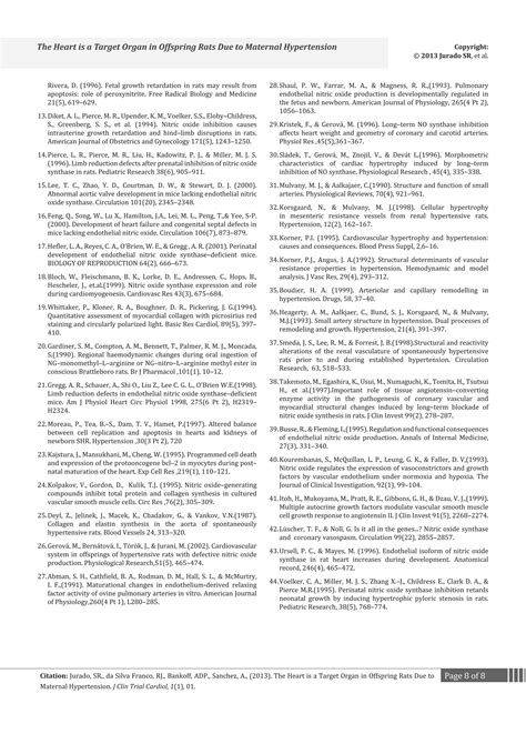 the heart is a target organ in offspring rats due to maternal hypertension pdf