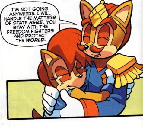 Sally Acorn Ccn Sally Acorn Archie Sonic Wiki Zone Fandom