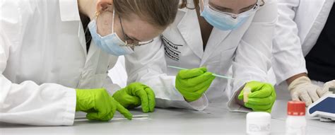 Innovation In Photochemistry And Drug Synthesis Shaping A Sustainable