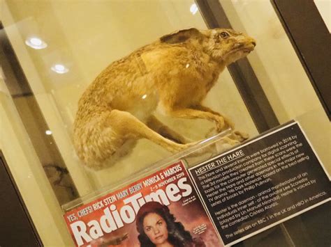 Lin Manuel Mirandas Daemon Booth Museum Brighton Opposable Thumbs