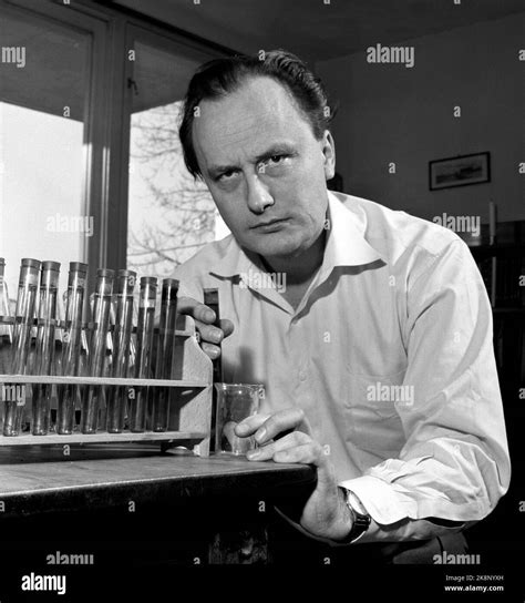 Baerum 195712 Author Andre Bjerke In His Home In Eiksmarka Black And