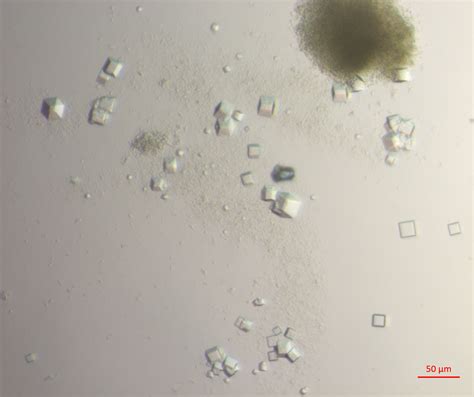 Crystal Laboratory | Just another WordPress site
