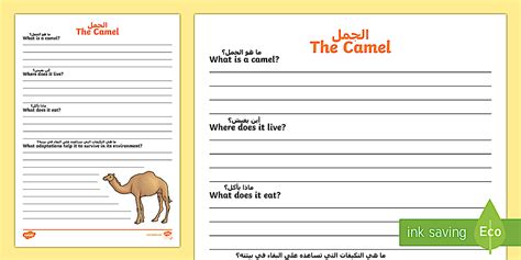 Camel Information Text Writing Template Arabic English