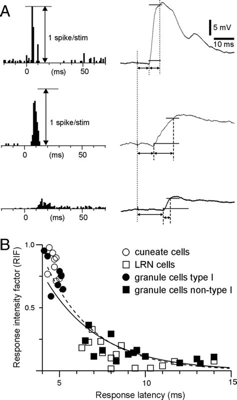 Relationship Between Response Latency And Response Intensity A Download Scientific Diagram