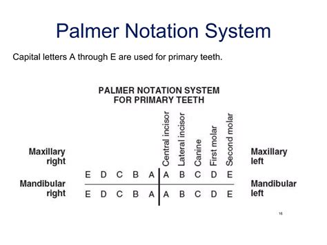 Palmer Notation Fdi Pptx