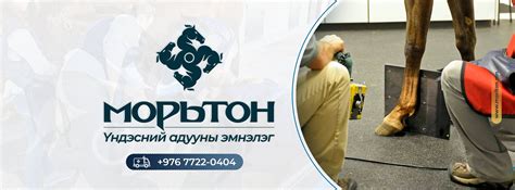 Тод Магнай Tod Magnai Монгол Улсын Манлай уяач Түдэндоржийн Болдбаатарын санаачлагаар