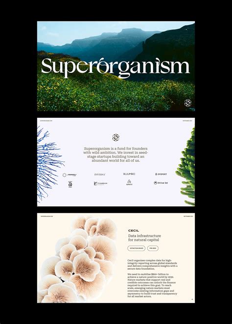 Superorganism Behance