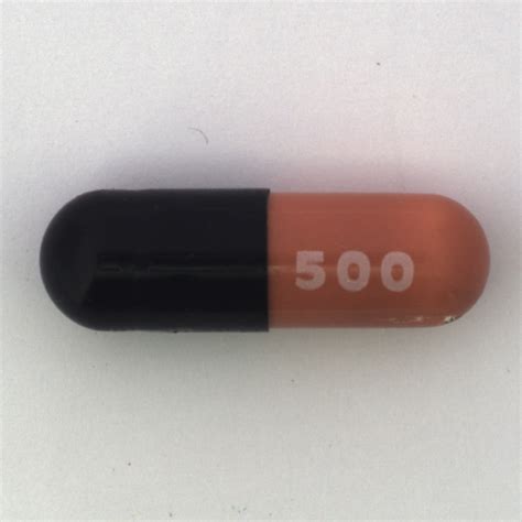 Pill Classification Classification Dataset And Pre Trained Model By Hxg