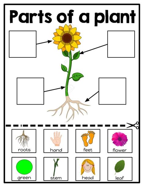 Pin On Science Activities For Special Education