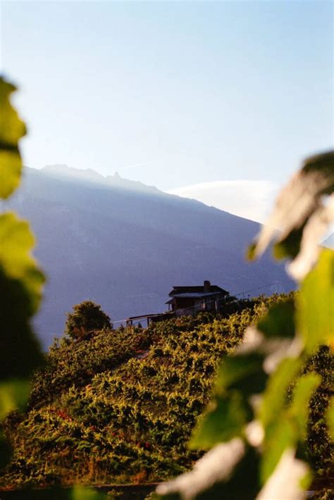 canon ef camera review the f 1 s little sibling by thomas 35mmc