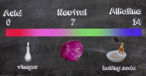 Acid Soil How To Make Soil More Acidic