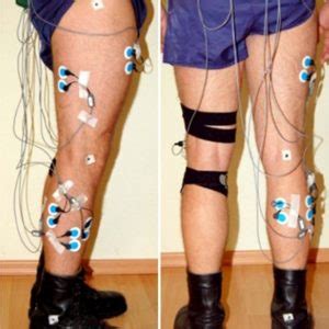 Electromyography Lab Techniques In Exercise Physiology