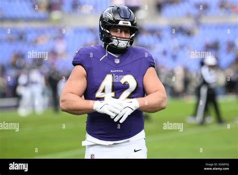 Baltimore Ravens Fullback Patrick Ricard 42 Warms Up Before An Nfl