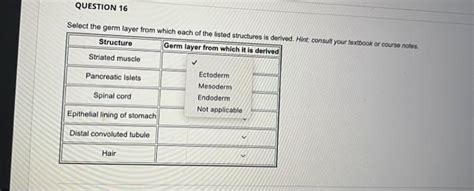 Solved Select The Germ Layer From Which Each Of The Listed