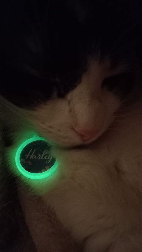 Bug Catcher In Viridian Forest Romantic And Sexual Coding In Sherlock Holmes