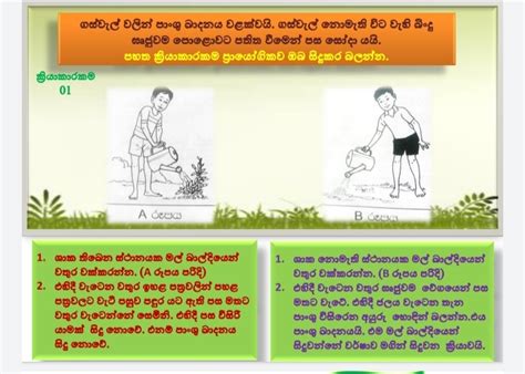 Resakya Educational Group 4 ශ්‍රේණිය පරිසරය ආශ්‍රිත ක්‍රියාකාරකම්