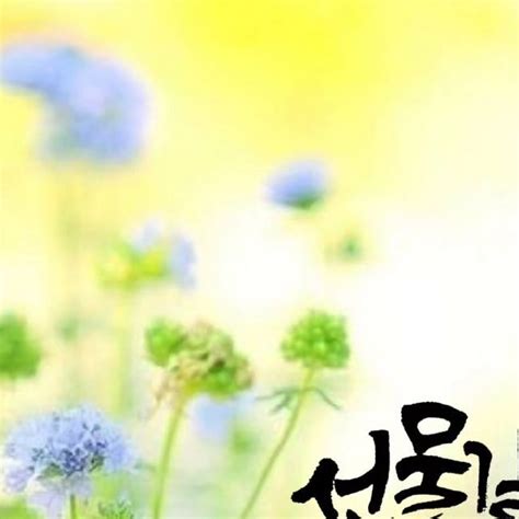 박초원 광주캘리그라피 On Instagram 선물같은 순간들이 가득한 매일이길 초원캘리 광주캘리 광주캘리그라피