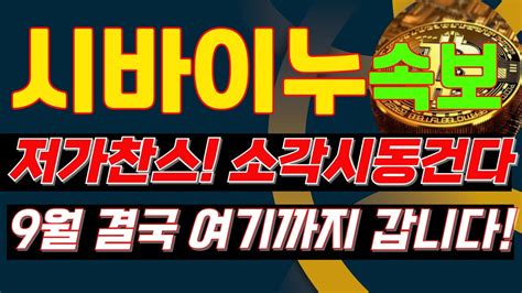 시바이누코인 🚨긴급속보 저가찬스 커뮤니티 소각 시동건다~9월 결국여기까지 갑니다~매수타점과 목표가는~시바이누 코인 전망 호재 목표가 대응 차트 분석~징기스칸 코인방송