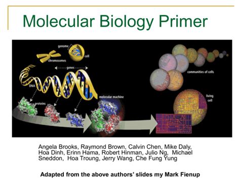 Molecular Biology Primer Ppt