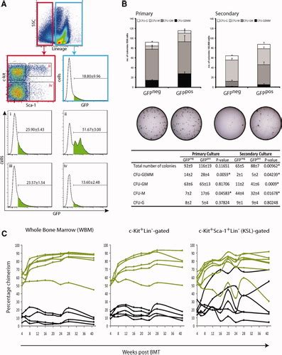 A Runx1 Intronic Enhancer Marks Hemogenic Endothelial Cells And Hematopoietic Stem Cells Ng