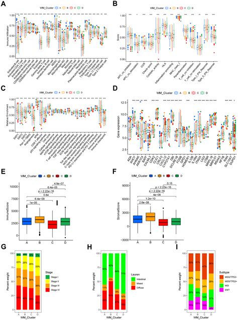Cross Talk Of Rna Modification Writers Describes Tumor Stemness And Microenvironment And