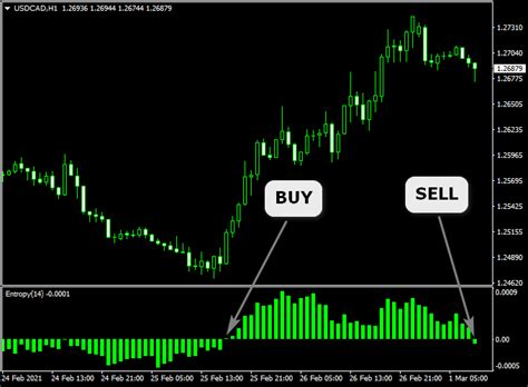 Entropy Buysell Forex Oscillator Mt4 Indicator