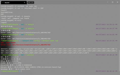 按照教程。直接wsl Service报错了 · Issue 5 · Deepin Communitydeepin Rootfs · Github