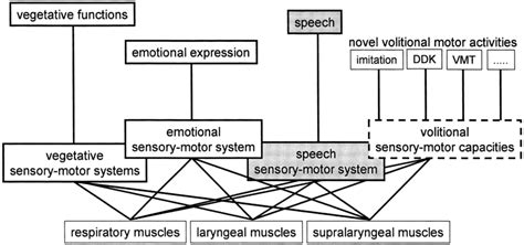Task Dependent Model Of Oral Motor Control Motor Activities For The Download Scientific