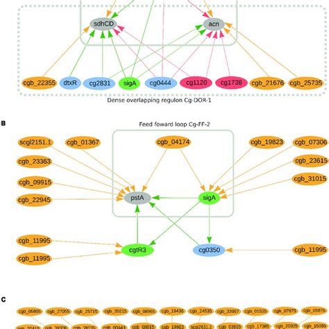 overview of the srna data integration workflow download scientific