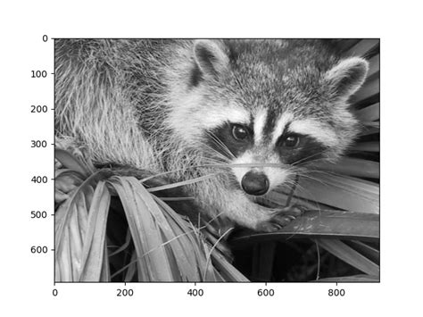 1211021 Later Shifted Image — Itom Documentation