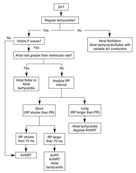 Introductory Clinical Medicine Algorithms