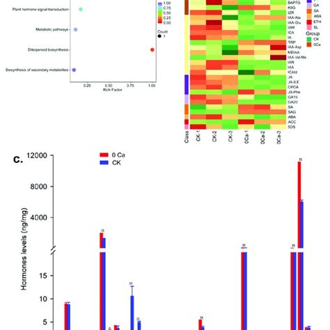 Hormone Identification For Metabolomic Analysis A Kegg Enrichment Of Download Scientific