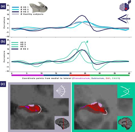 mapping of curvature values along the medial‐lateral axis of the