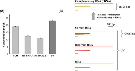Comparison Of Different Methods For The Quantification Of Rna A Download Scientific Diagram