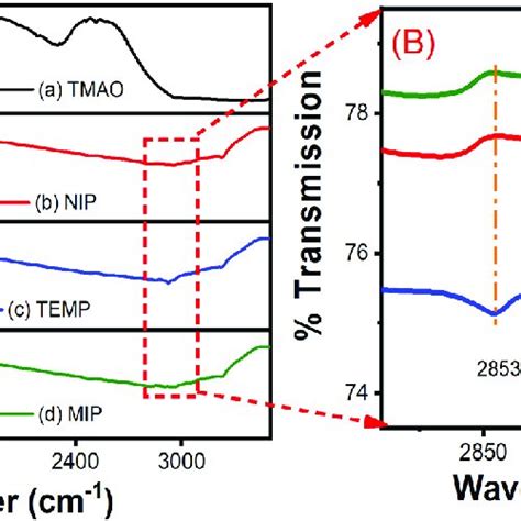 A Ftir Spectra Of A Tmao B Nip C Temp And D Mip B Download Scientific Diagram