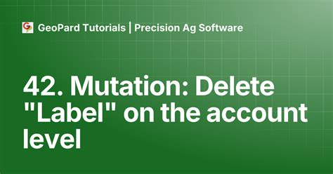42 mutation delete label on the account level geopard tutorials