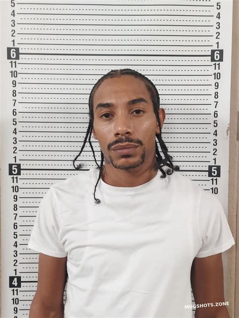 Trice David Ray 04 20 2025 Scott County Mugshots Zone