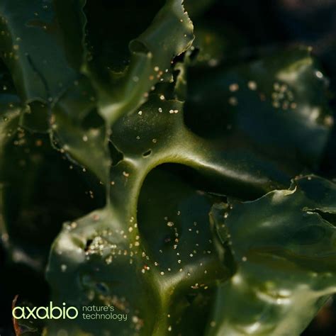 Natural Vs Synthetic Astaxanthin Which Is Better For Your Health