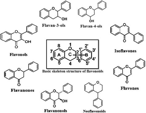 Basic Skeleton Structure Of Flavonoids And Their 8 Subgroup Download