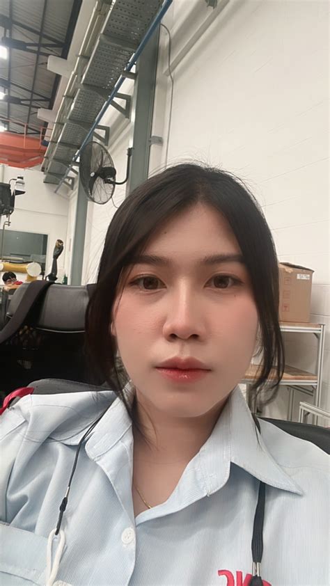 Img Processing Object Detection Dataset And Pre Trained Model By Mim