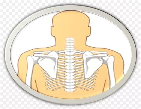 实时操作系统嵌入式系统论文调度分析实时系统png图片素材下载图片编号2196976 Png素材网