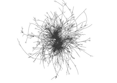 Cropped Greg1 E1408578748392 Bowman Lab