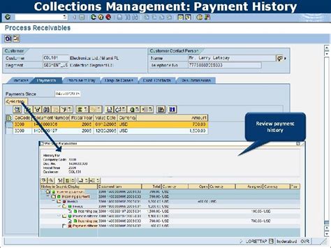 Advanced SAP Collections Management Best Practices CRF SAP