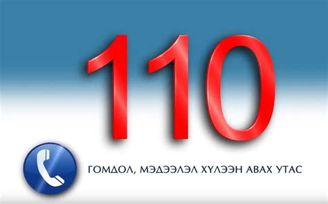 110 АВИЛГЫН ЭСРЭГ ГОМДОЛ МЭДЭЭЛЭЛ ХҮЛЭЭН АВАХ УТАС