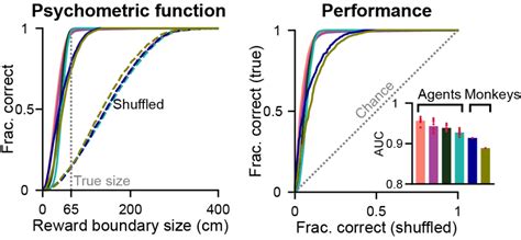 Inductive Biases Of Neural Network Modularity In Spatial Navigation